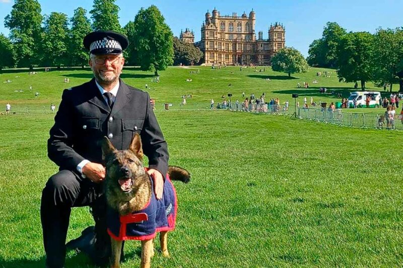 Police dog Belle leads the pack after winning national police dog ...